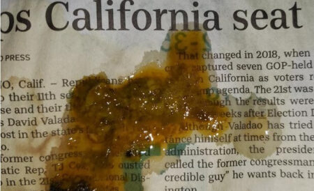 Complete Ferret Poop Guide: What Is Normal And What Isn't?