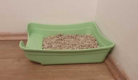 How To Get Rid Of Ferret Smell? Guide With Practical Tips