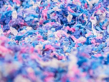 Complete Ferret Poop Guide: What Is Normal And What Isn't?