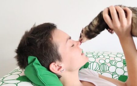 All About Ferrets In One Place By Experienced Ferret Owners